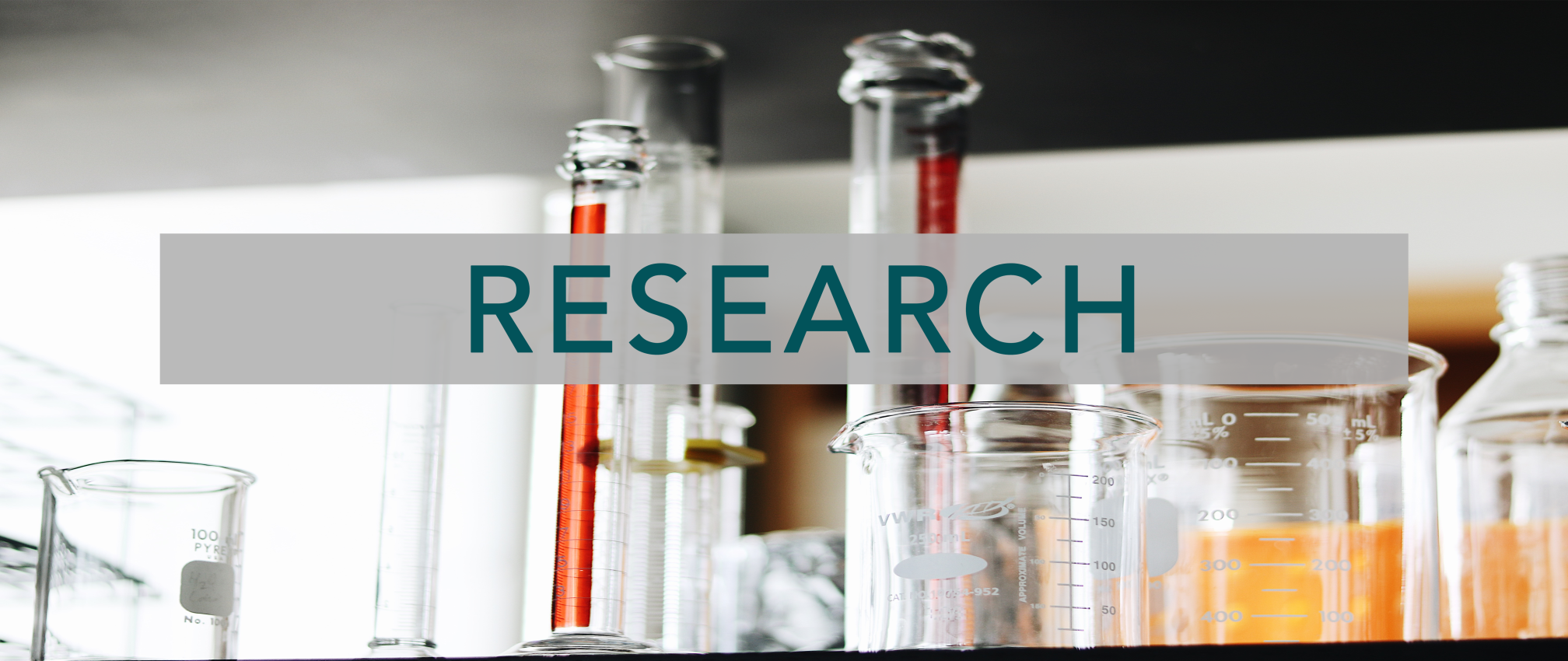 Research | Vanderbilt University Institute of Imaging Science